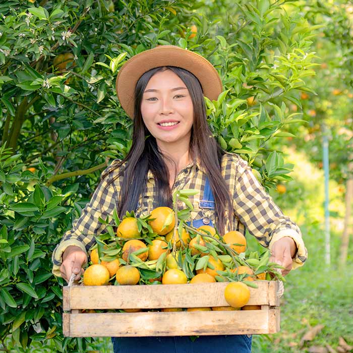 Organic Fruit – mooyifoods.com