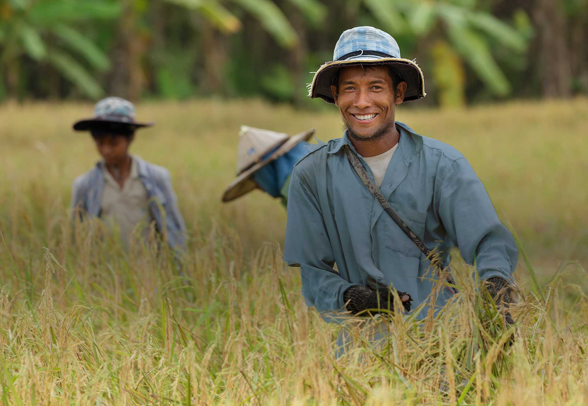 mooyifoods.com – Mooyi 牧場直供 牧壹優選